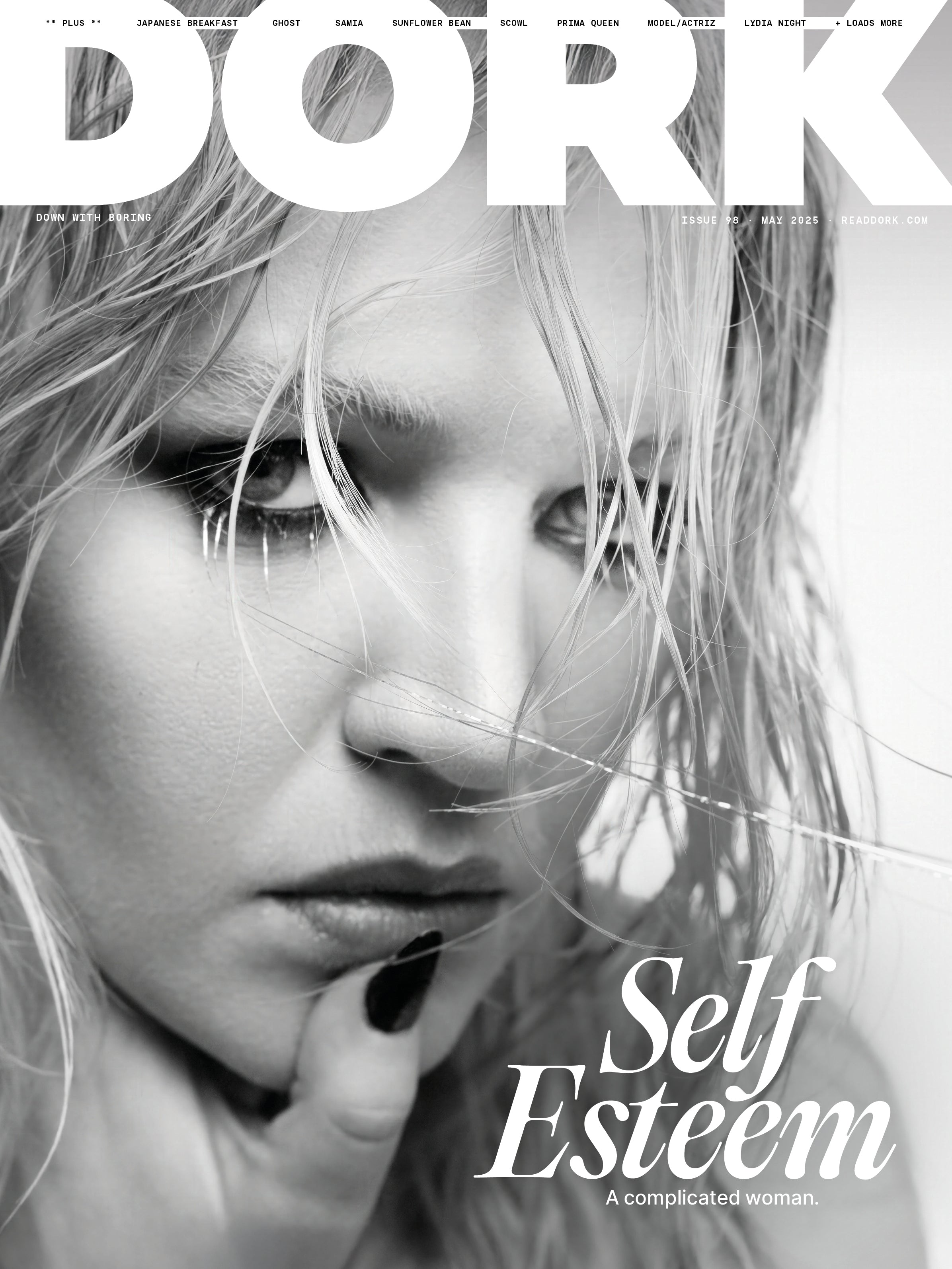 Dork, May 2025 (Self Esteem cover)